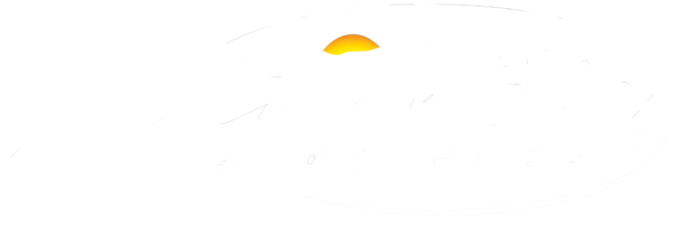 Native Edge Landscapes | Boulder, CO